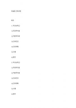 조울증 간호과정-1페이지