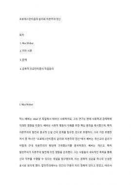 프로테스탄티즘의 윤리와 자본주의 정신-1페이지