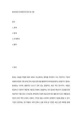 절세 탈세 조세회피의 정의 및 사례-1페이지