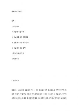 테슬라 기업분석 (2)-1페이지