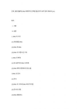 간호, 일반생물학) DNA 복제부터 단백질 합성까지 요약 정리 레포트 (A+)-1페이지