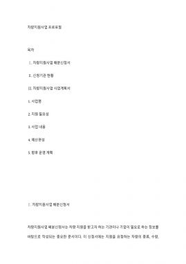 차량지원사업 프로포절-1페이지