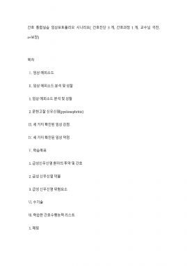 간호 통합실습 임상포토폴리오 시나리오( 간호진단 3개, 간호과정 1개, 교수님 극찬, a+보장)-1페이지