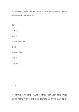 한국청소년문화의 특징을 설명하고, 자신이 생각하는 한국청소년문화의 문제점과 해결방안을 각각 2가지 제시하시오 (7)-1페이지