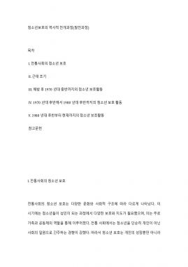 청소년보호의 역사적 전개과정(발전과정)-1페이지