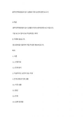 광주민주화운동의 당시 상황과 이후 논란에 관한 보고서-1페이지