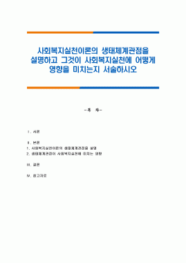 사회복지실천이론의 생태체계관점을 설명하고 그것이 사회복지실천에 어떻게 영향을 미치는지 서술하시오-1페이지