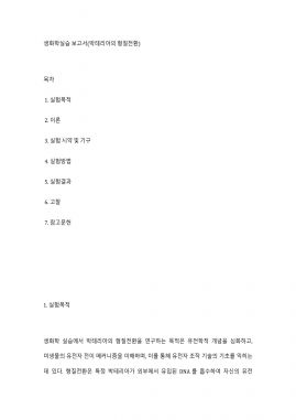 생화학실습 보고서(박테리아의 형질전환)-1페이지