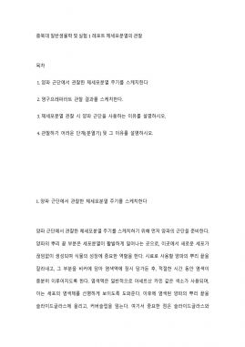 충북대 일반생물학 및 실험1 레포트 체세포분열의 관찰-1페이지