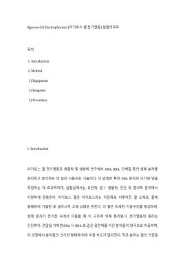 Agarose Gel Electrophoresis (아가로스 겔 전기영동) 실험리포트-1페이지