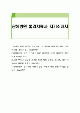 광혜병원 물리치료사 자기소개서-1페이지