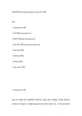 [실험레포트] DNA gel electrophoresis, DNA 전기 영동-1페이지