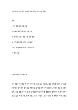 국제기업의 자본조달 형태(글로벌기업의 자금조달 유형)-1페이지