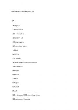 Cell Transfection and Cell lysis 레포트-1페이지