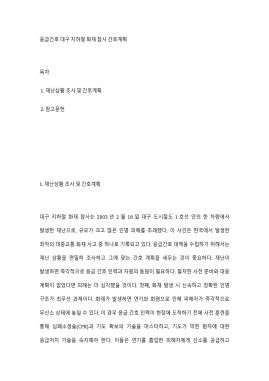 응급간호 대구 지하철 화재 참사 간호계획-1페이지