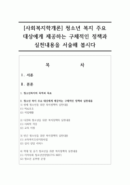 [사회복지학개론] 청소년 복지 주요 대상에게 제공하는 구체적인 정책과 실천내용을 서술해 봅시다-1페이지