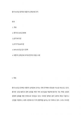 중국 보조금 정책과 대중국 상계관세 조치-1페이지