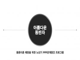 [PPT]사회복지프로포절 황혼이혼 예방을 위한 노년기 부부관계증진 프로그램-1페이지