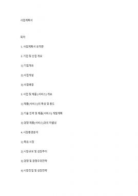 사업계획서 (2)-1페이지