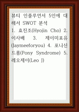 뷰티 인플루언서 SWOT 분석 ) 1. 효진조 2. 이사배 3. 제이미포유 4. 포니신드롬 5. 레오제이-1페이지