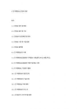 1인 여행방송 산업과 관광-1페이지