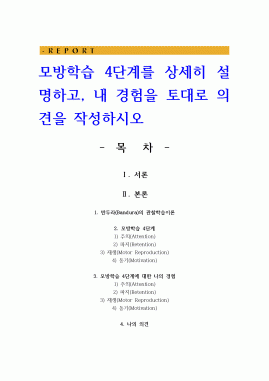 모방학습 4단계를 상세히 설명하고, 내 경험을 토대로 의견을 작성하시오-1페이지