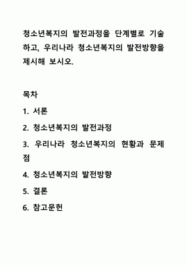 청소년복지의 발전과정을 단계별로 기술하고, 우리나라 청소년복지의 발전방향을 제시해 보시오.-1페이지