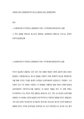 브론펜 브레너 생태환경주의자 청소년 발달과 성장, 생태환경체계-1페이지