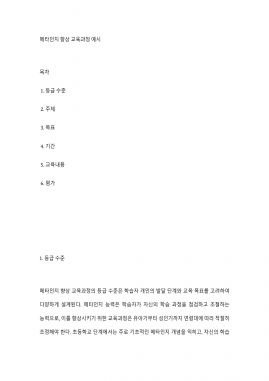 메타인지 향상 교육과정 예시-1페이지