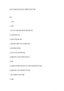 재난의 문제점과 대안 및 재난 상황에서의 정부 역할-1페이지