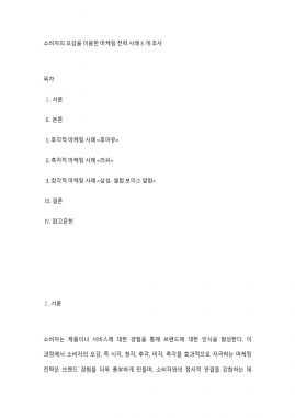 소비자의 오감을 이용한 마케팅 전략 사례 3개 조사-1페이지