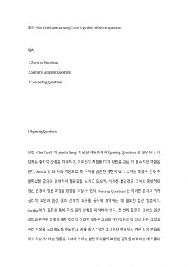 모성 vSim Case5 amelia sung(Core) 6. guided reflection question-1페이지