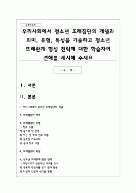 우리사회에서 청소년 또래집단의 개념과 의미, 유형, 특성을 기술하고 청소년 또래관계 형성 전략에 대한 학습자의 견해를 제시해 주세요-1페이지