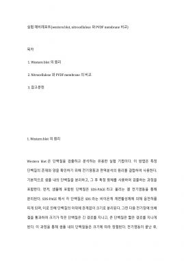 실험 예비레포트(western blot, nitrocellulose와 PVDF membrane 비교)-1페이지