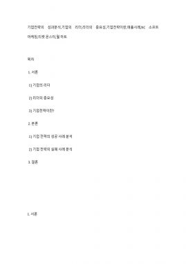 기업전략의 성과분석,기업의 리더,리더의 중요성,기업전략이란,애플사례,NC 소프트 마케팅,티켓 몬스터,월 마트-1페이지