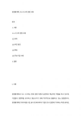 경영통계학, 식스시그마 경영 사례-1페이지