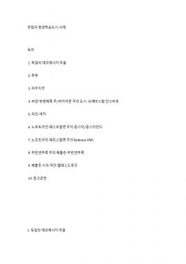 유럽의 평생학습도시 사례-1페이지