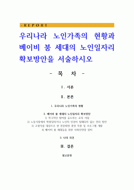 우리나라 노인가족의 현황과 베이비 붐 세대의 노인일자리 확보방안을 서술하시오-1페이지