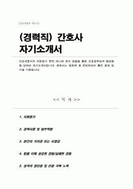 (경력직)간호사 자소서 우수예문-1페이지