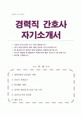 간호사 자기소개서 (경력직 간호사 합격 예문, 업무경험, 역량, 사명감 강조)-1페이지