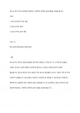 청소년 복지 주요 대상에게 제공하는 구체적인 정책과 실천내용을 서술해 봅시다-1페이지