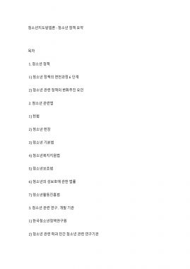 청소년지도방법론 - 청소년 정책 요약-1페이지