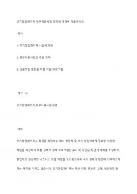 초기창업패키지 정부지원사업 전략에 대하여 기술하시오-1페이지