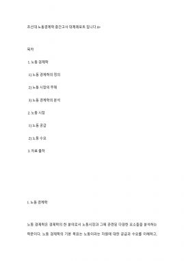 조선대 노동경제학 중간고사 대체레포트 입니다 A+-1페이지