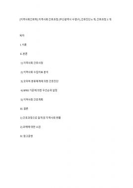 [지역사회간호학] 지역사회 간호과정 (부산광역시 수영구)_간호진단6개, 간호과정3개-1페이지