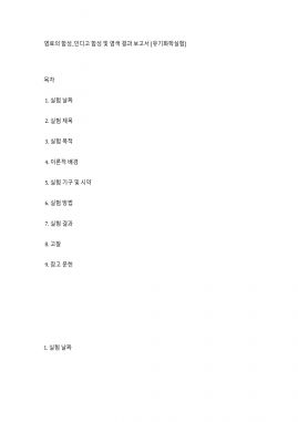 염료의 합성_인디고 합성 및 염색 결과 보고서 [유기화학실험]-1페이지