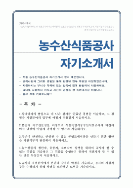 서울시농수산식품공사 자기소개서-1페이지