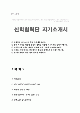 대학교 산학협력단 자기소개서-1페이지