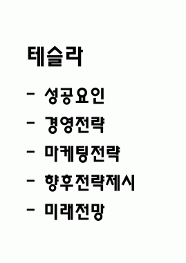 [테슬라 기업분석] 테슬라 성공요인과 경영전략 마케팅전략 분석 및 테슬라의 향후전략 제시와 미래전망-1페이지