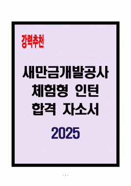 [A+] 새만금개발공사 체험형 인턴 합격자소서-1페이지